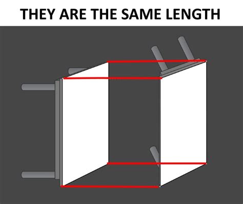 Optical Illusions Quiz