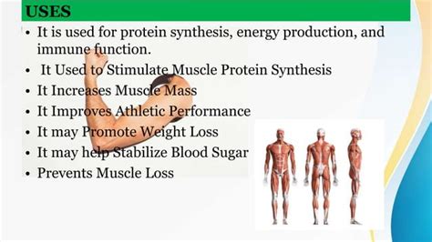 Leucine Metabolism Ppt