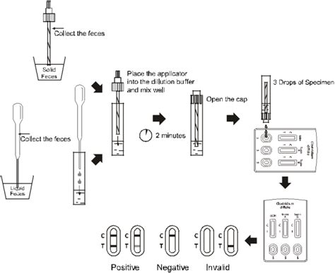 Gdh Antigen Positive Toxin Negative At Leo Rey Blog