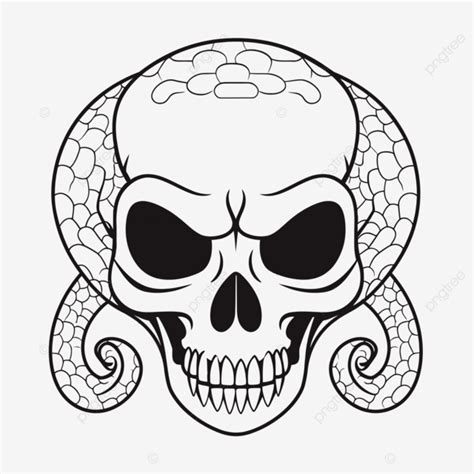 Desenho De O Crânio Do Cobra Para Colorir E Esboço Imagem Vetor PNG