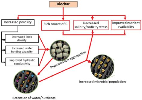 Journal Of Crop Science Best Scientific Journals