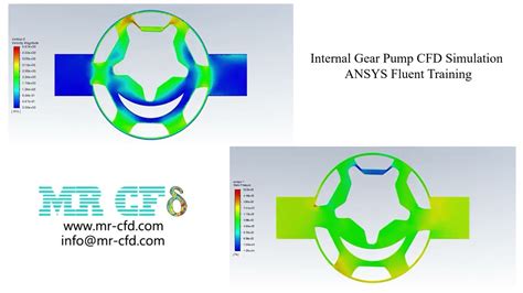 Internal Gear Pump Cfd Simulation Ansys Fluent Training Youtube