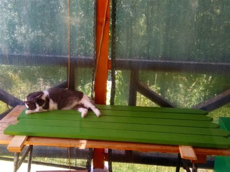 Живот отвъд Околомръсното