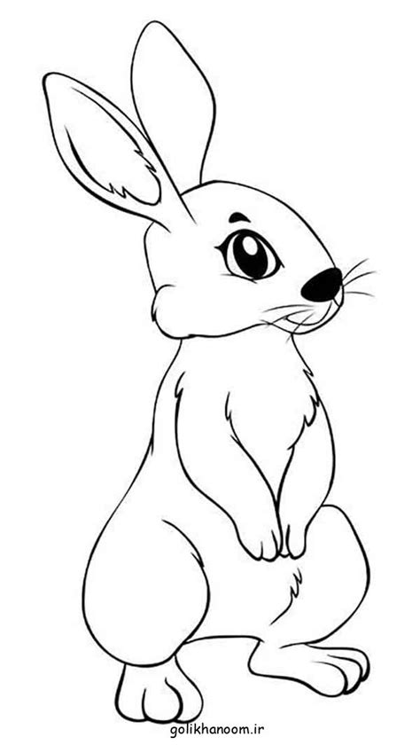 میخوای سه سوته نقاشی خرگوش 2024؛ بکشی ساده و خوشگل کودکانه؟ گلی خانوم