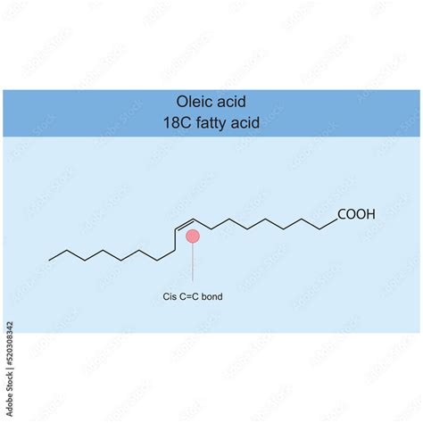 Oleic Acid 18 Carbon Fatty Acid Chemical Structure On Blue Background