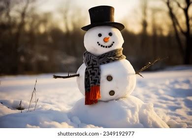 Người Tuyết 539313 Ảnh Vector đối Tượng 3d Và Hình Chụp Có Sẵn Shutterstock