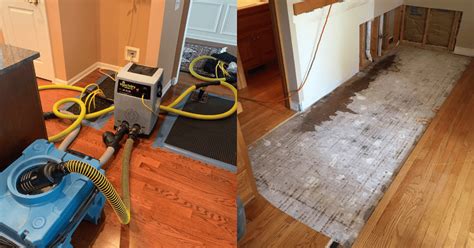Step By Step Guide To Basement Sewage Cleanup