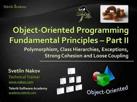 ppt object oriented programming fundamental principles part ii