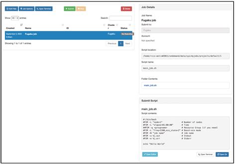 Open Ondemandの利用方法