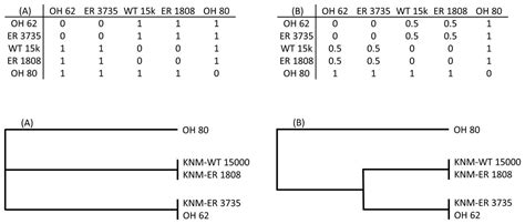 Taxonomic Identification Of Lower Pleistocene Fossil Hominins Based On Distal Humeral Diaphyseal