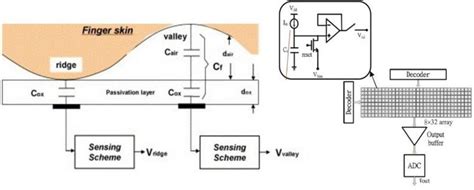 How Do Fingerprint Scanners Work Optical Vs Capacitive Desis Senior