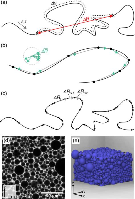 Paths Taken By An Sgm System Can Be Analyzed Experimentally In