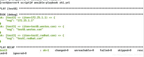 Ansible 中的循环（一） With Itemsansible With Items Csdn博客