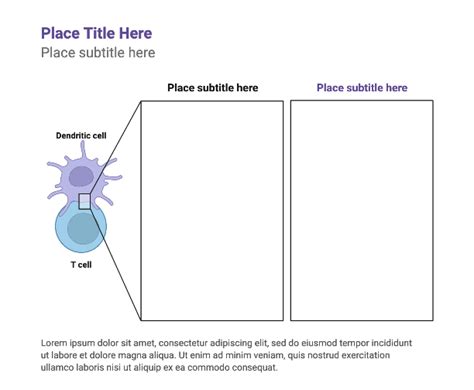 Interaction Between Dendritic Cell And T Cell With Callout 2 Panel
