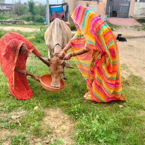 Jai Mata Di 🙏🙏
