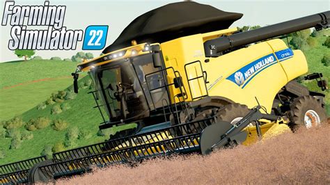 COLHEITA DE CANOLA DOS GURI Os Guri Farming Simulator EP YouTube