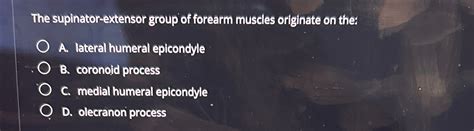 Solved The Supinator Extensor Group Of Forearm Muscles