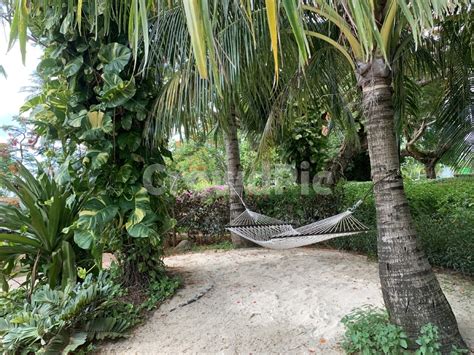 Summer 여름 Garden 괌 리조트 사진이미지일러스트캘리그라피 헤이루작가