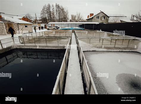 Winter Aquaculture Ponds For Fish Growing Stock Photo Alamy