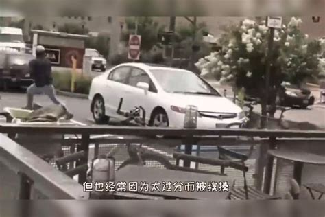男子街头恶搞，直接扛起别人的女朋友就跑，男友看后会有啥反应？