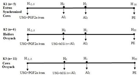 Figure 1 From Application Of Estrus Synchronization Using Pgf2α And Ovulation Synchronization