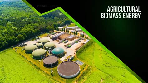 Agricultural Biomass Energy A Sustainable Solution For Tomorrow