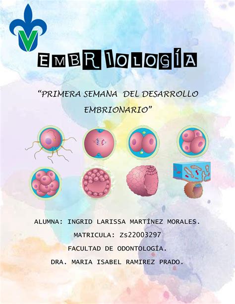 Primera Semana DEL Desarrollo Embrionario Larissa EMBRIOLOGÕA