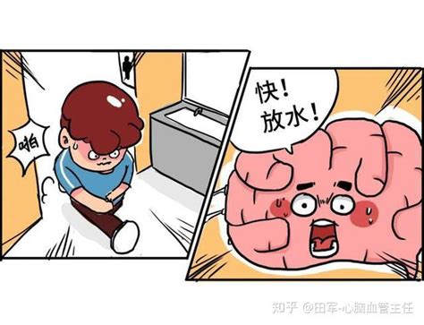 “憋回去”的尿，都去哪了？ 知乎