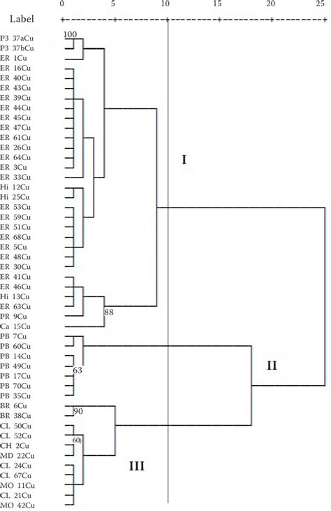 a dendrogram formed with the minimum descriptors from the euclidean