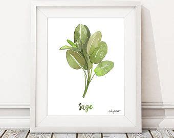 Aquarell Malerei Thymian Kraut Druck Aquarell Wand Kunst Housewarming