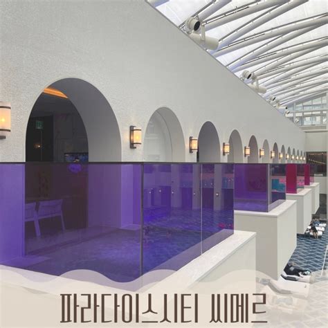 [인천 파라다이스시티] 씨메르 실내 야외 수영장 및 찜질방 비오는날 후기 네이버 블로그