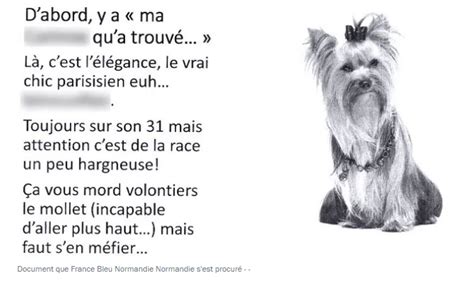 Bestiaire Des Ien Le Daasen Sera Jug