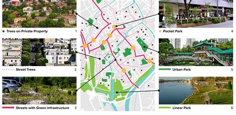 What Is An Urban Forest