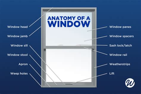 Window Anatomy A Clear View Of The Parts Of A Window