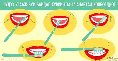 Таныг шүдээ яаж угаадгаас чинь шалтгаалж хувийн зан чанар болон юуг хамгийн сайн хийх