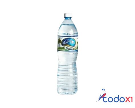 Pomo De Agua Ciego Montero 1 5litro Todox1