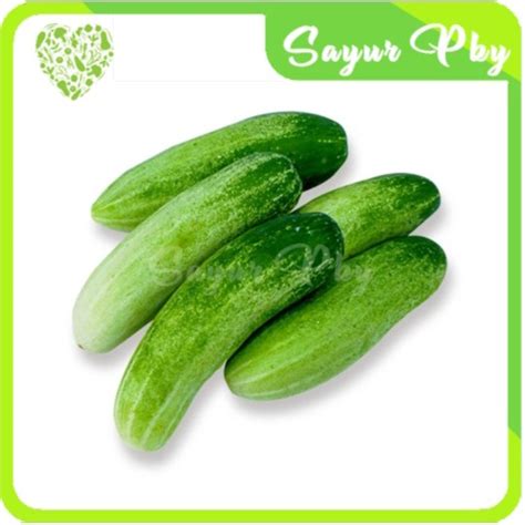 Jual Timun Lokal 1 Kg Shopee Indonesia