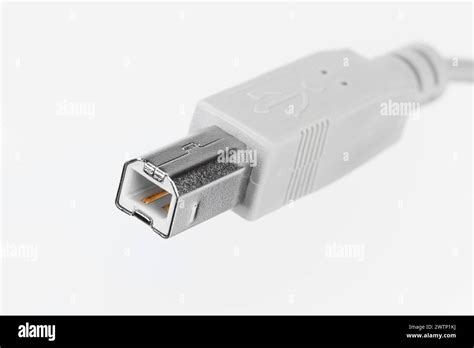 Usb Type A Connector Hi Res Stock Photography And Images Alamy