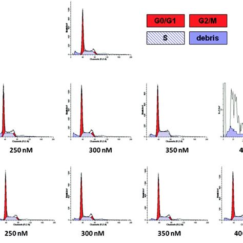 Flow Cytometric Profile Of Cell Cycle Arrest Induced By Both