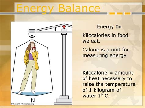 Ppt Energy Balance And Body Composition Powerpoint Presentation Id