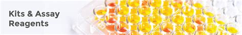 Recombinant Factor C Endotoxin Detection Kit Acrobiosystems