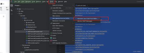Idea 2023根据 Wsdl文件生成 代码idea根据wsdl生成客户端代码 Csdn博客