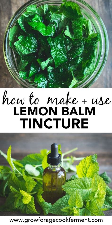 How To Make Lemon Balm Tincture Artofit