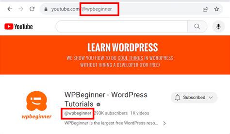 New Introducing Support For Youtube Handles