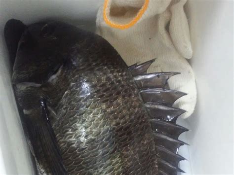 경남고성청소년낚시클럽⚓ Band