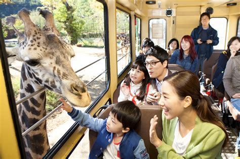 SALE 限时优惠爱宝乐园 Everland 1日门票扫二维码直接入场 Sale 41 Ticket KD
