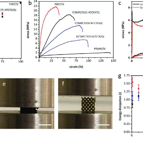 General Reaction Scheme For Producing Aliphatic Polycarbonate Derived Download Scientific