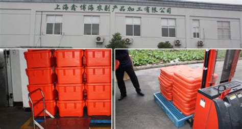 食品保温箱批发 医用保温箱厂家 大容量冷藏箱 干冰冷藏箱 双层保温柜 上海塑创源环保科技有限公司