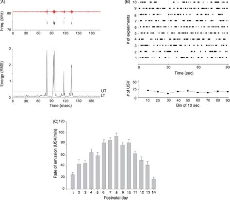 Emission And Quantification Of Usv A A Typical Spectrogram With The
