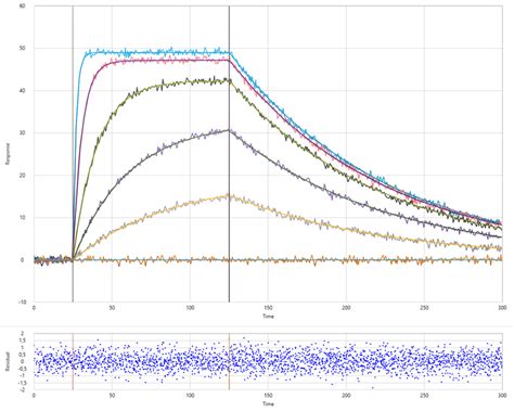 Curve Fitting Software Freelancer